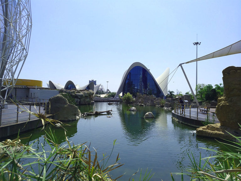 The Valencia Oceanographic Is Joyful For All - Expat In Valencia